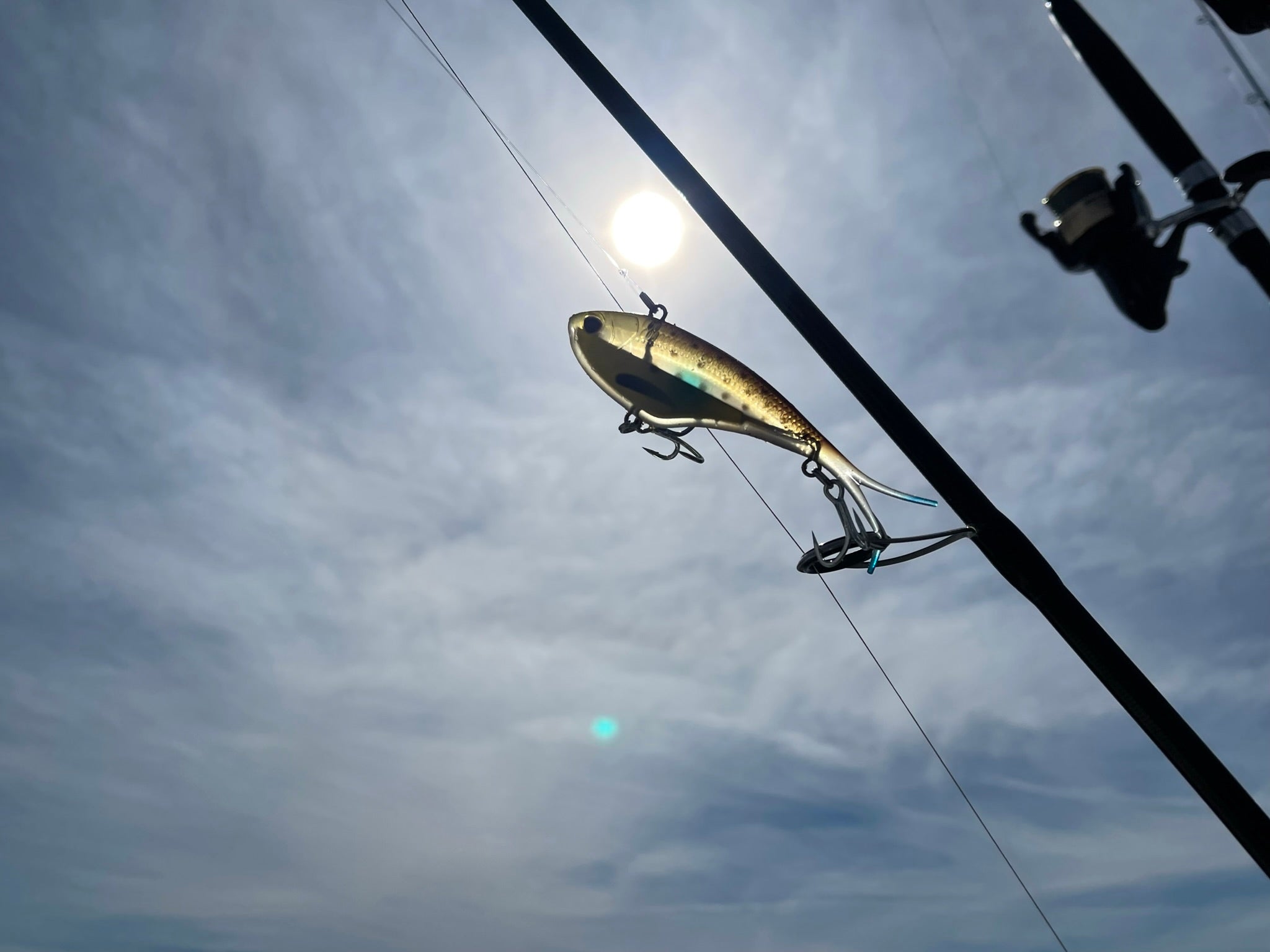 *New* Vertrex Color Release – Nomad Tackle