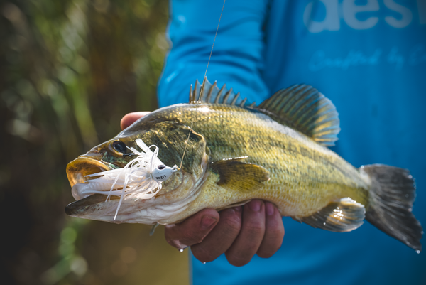Break Down the Basics of Redfish Habits, Habitat, and Spawn – Nomad Tackle