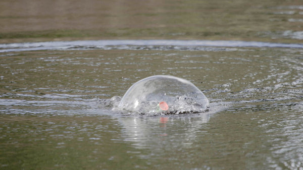 Break Down the Basics of Redfish Habits, Habitat, and Spawn – Nomad Tackle