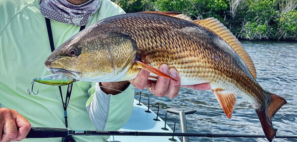 SEACORE RODS – Nomad Tackle