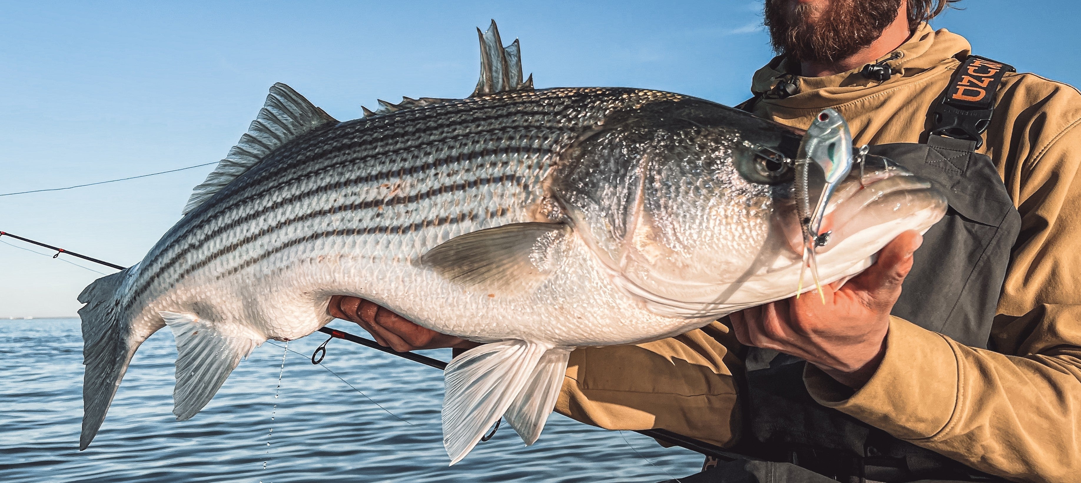 Nomad Design Striped Bass Lure Collection