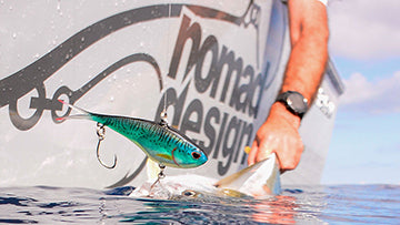 Break Down the Basics of Redfish Habits, Habitat, and Spawn – Nomad Tackle