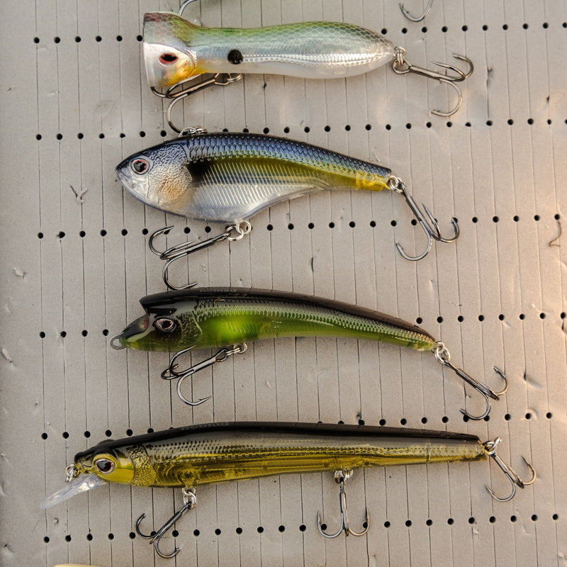 Squidtrex Squid Vibe Lure – Nomad Tackle